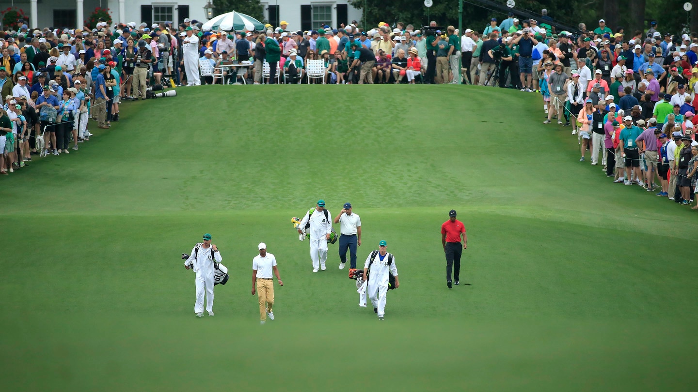 Tiger 2019: Through the Words of Many