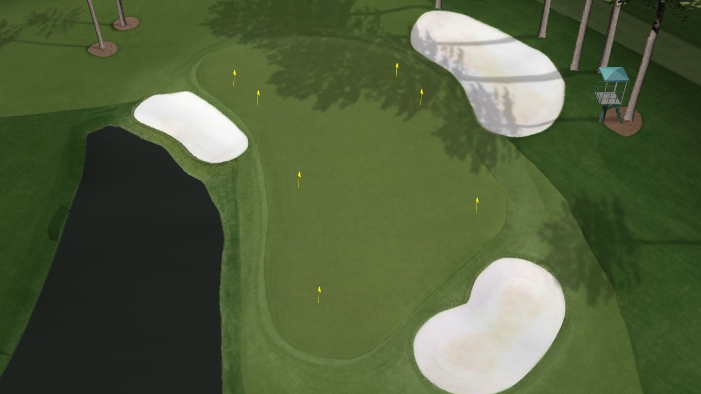 The Masters: Hole #16 Redbud