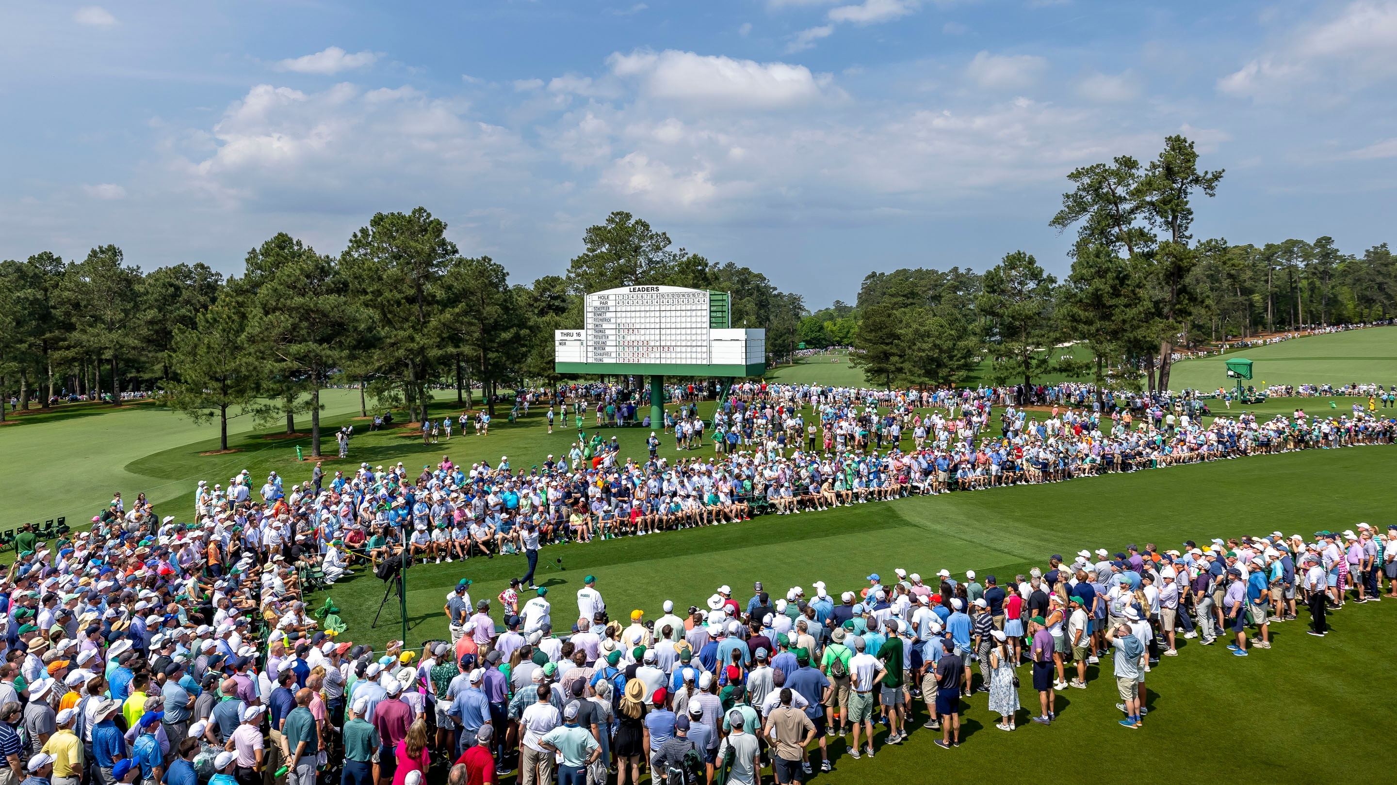 The Masters: Hole #8 Yellow Jasmine