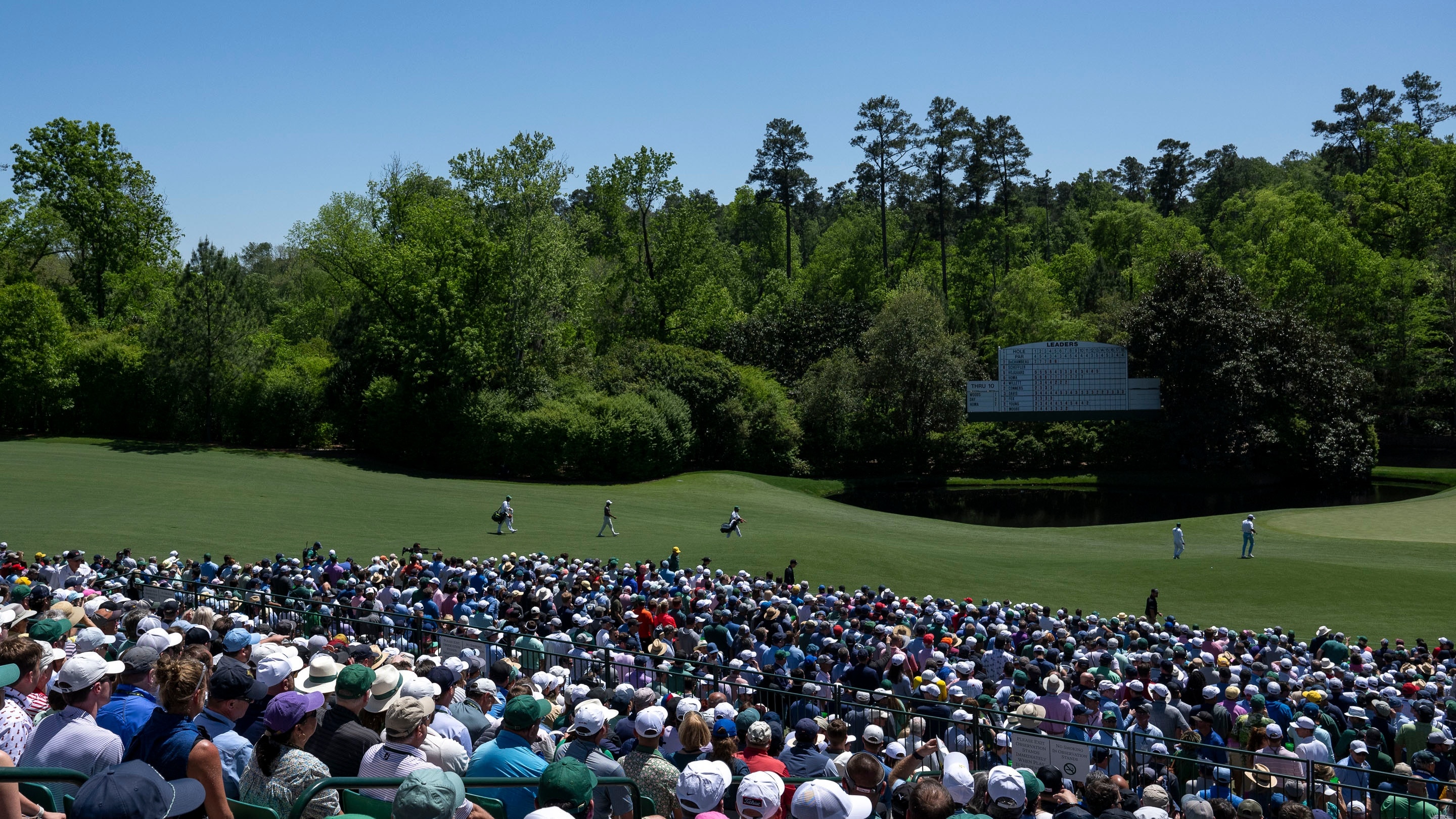 The Masters: Hole #11 White Dogwood