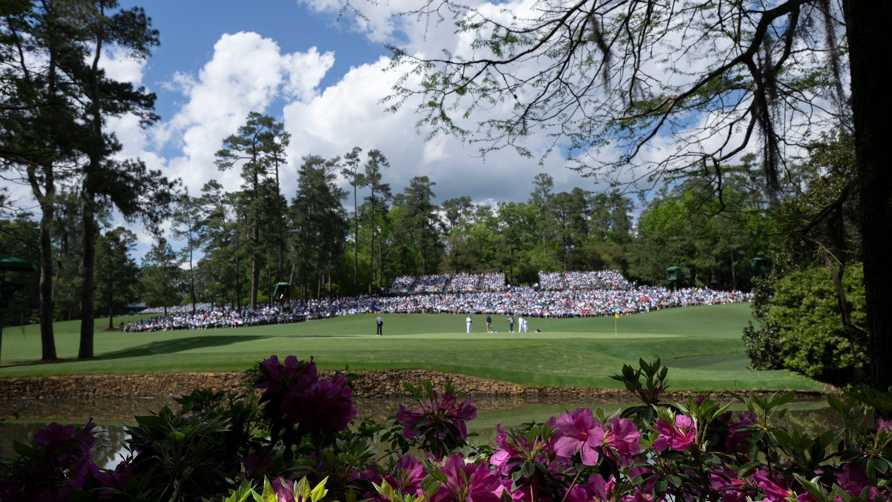The Masters: Hole #11 White Dogwood
