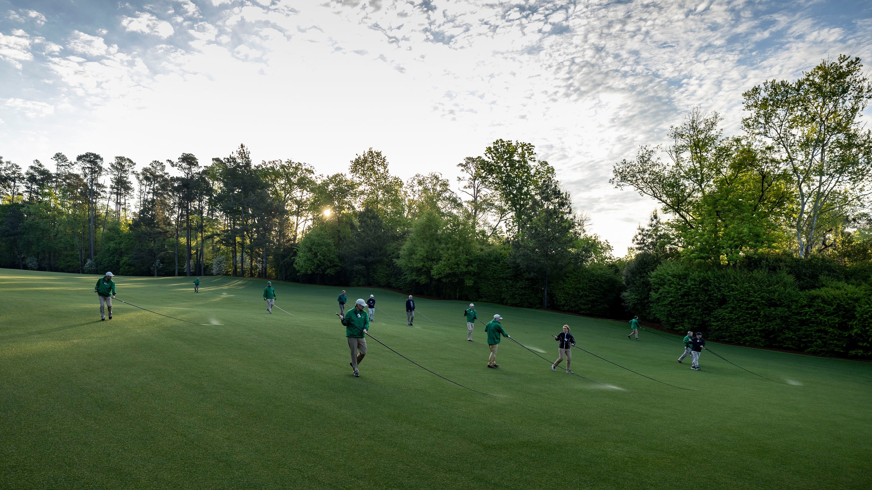 The Masters: Hole #11 White Dogwood