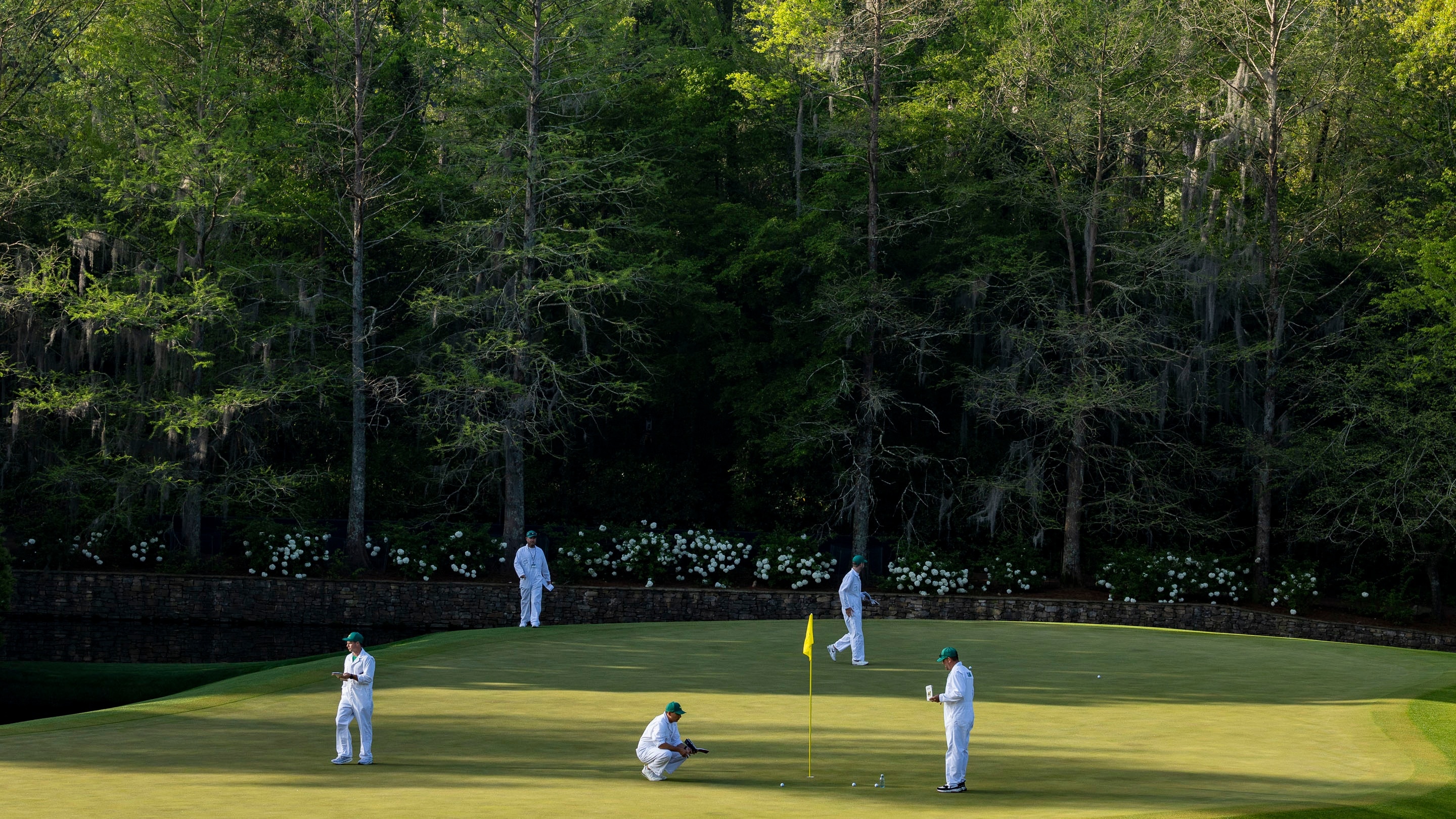 The Masters: Hole #11 White Dogwood