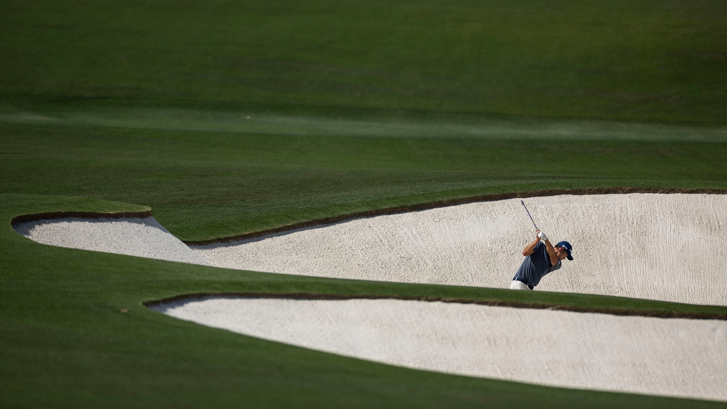 The Masters: Hole #8 Yellow Jasmine