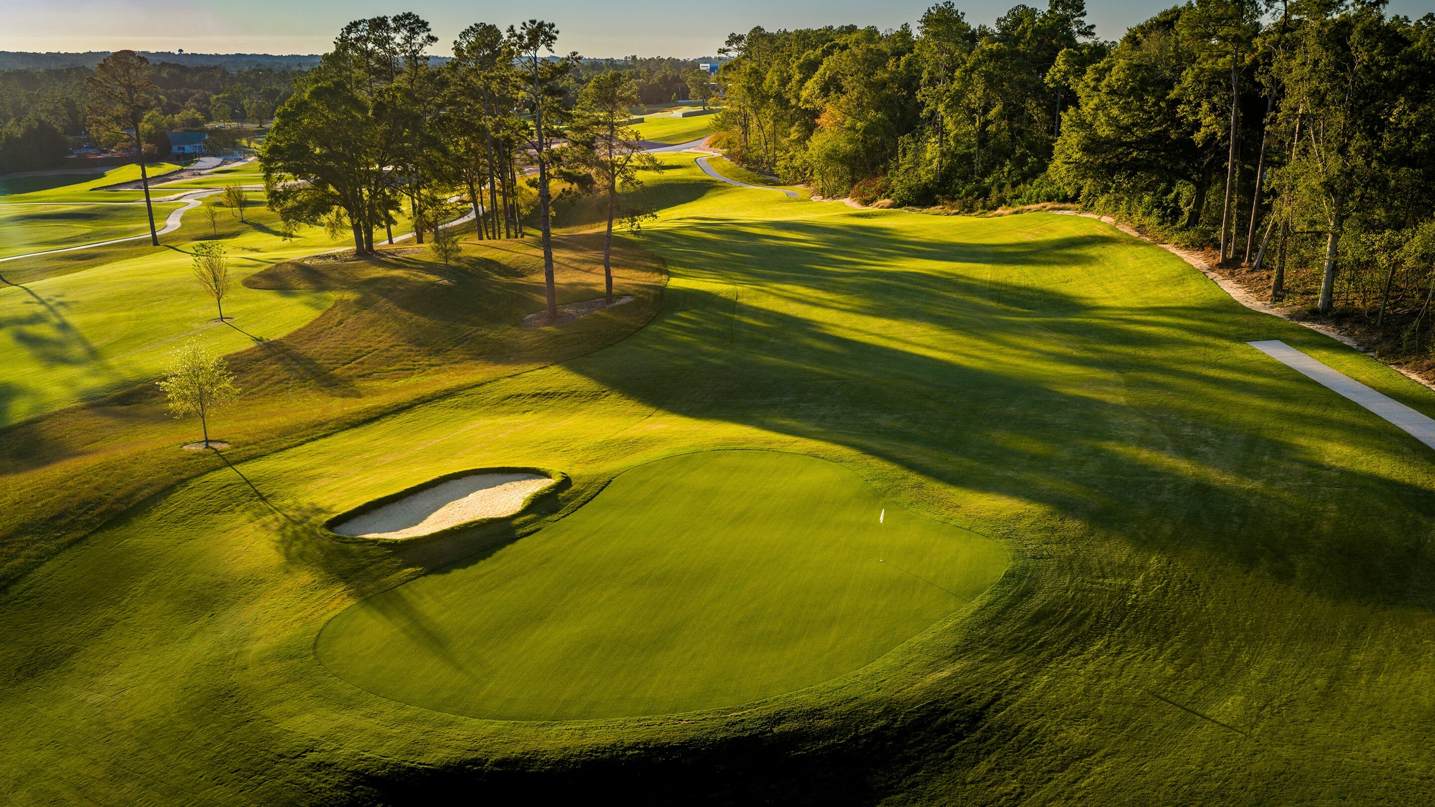 Planning Your Masters Patron Experience